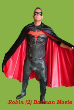 Robin (2) (Batman) - Costume Cave